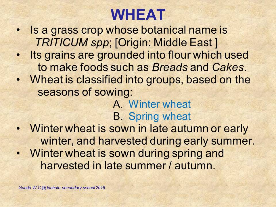NYUMBA: AGRICULTURE - WHEAT PRODUCTION (LESSON NOTES FOR FORM TWO)