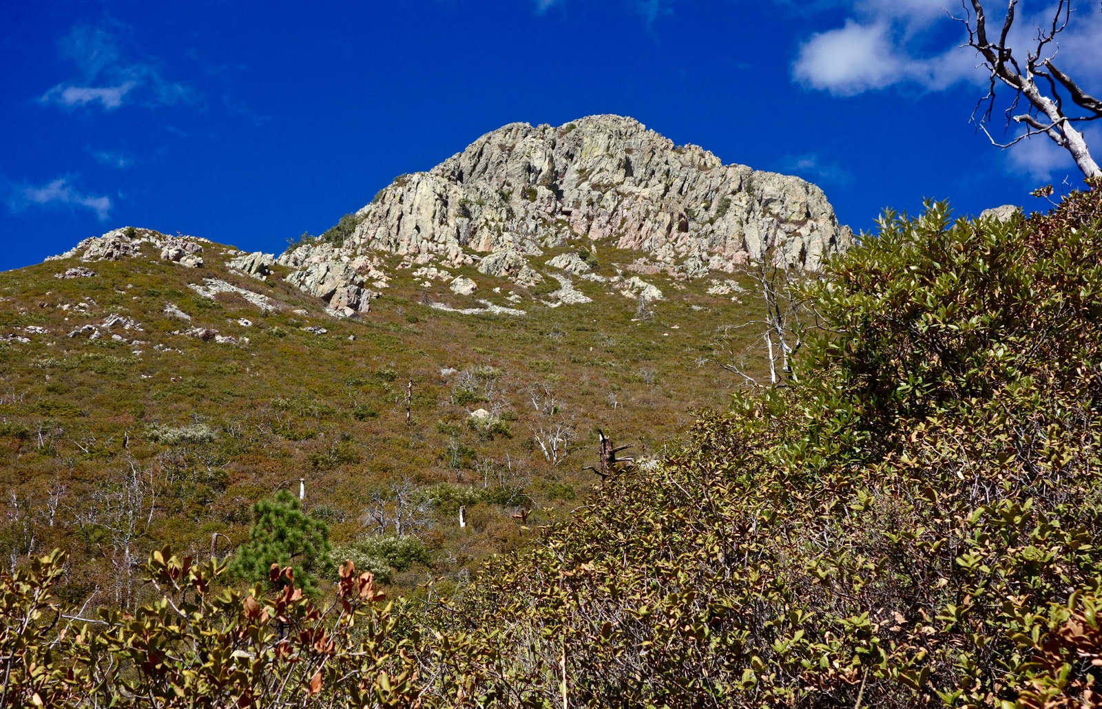Earthline: The American West: Mount Wrightson, 9,453', and Josephine ...