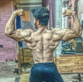 world bodybuilders pictures: egyptian bodybuilder islam al masri from ...