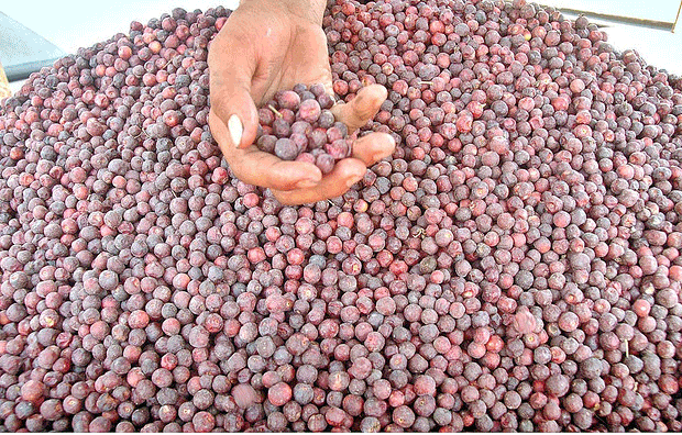 It-Ilm.Com | News | Entertainment | Tips | Health Tips | Islamic ...