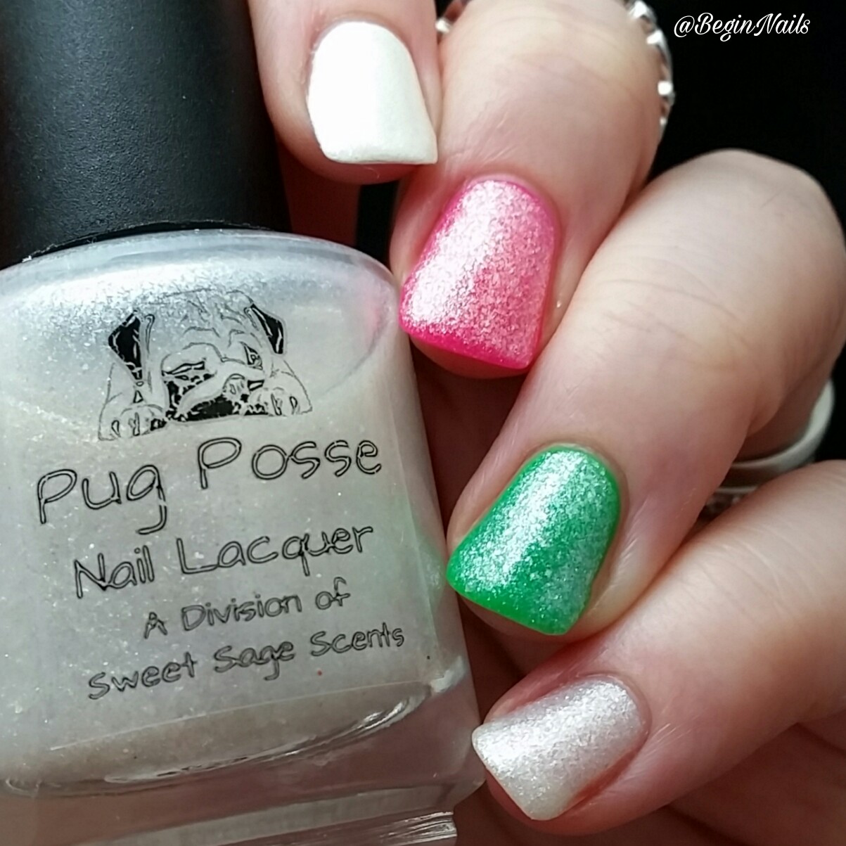 Let's Begin Nails: Pug Posse Nail Lacquer - Pug Love Collection Swatch ...