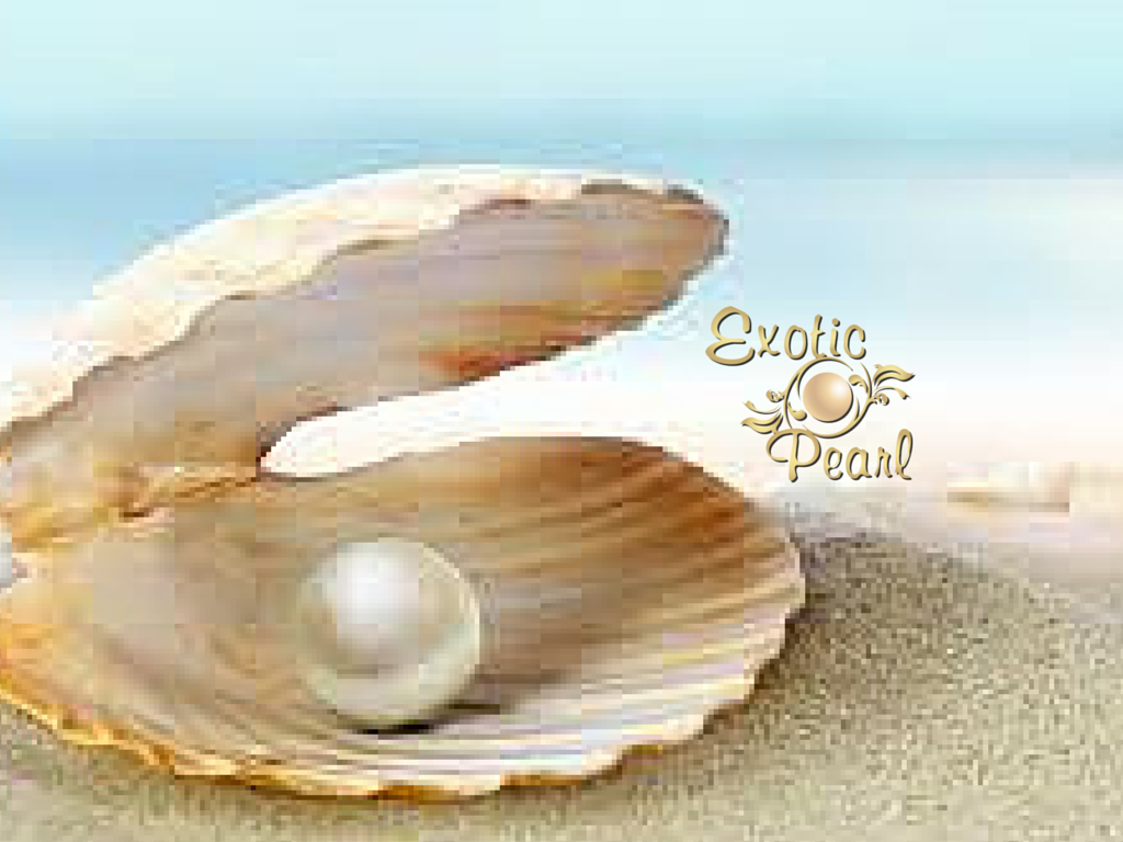 Info Mutiara Asli: Asal Muasal Mutiara