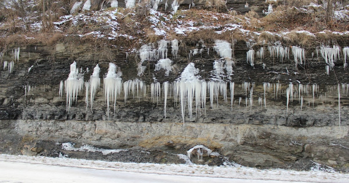 To Behold the Beauty: Florida