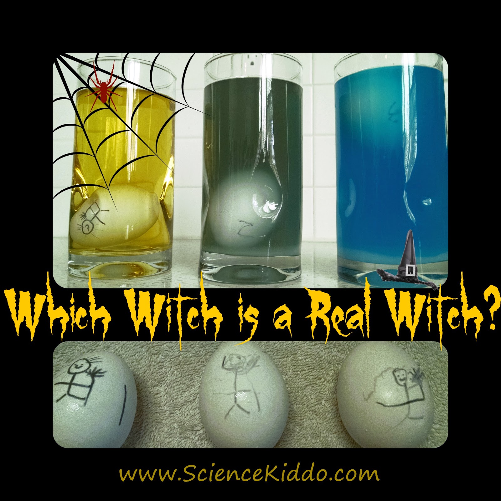 Which Witch is a Real Witch? | Laisy Daisy Days