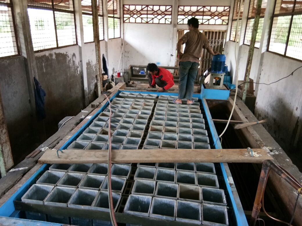 Cold Storage Indonesia