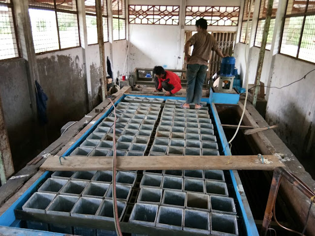 Cold Storage Indonesia