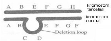 Materi Penyebab Mutasi Mapel Biologi kelas 12 SMA/MA - Lemari Soal