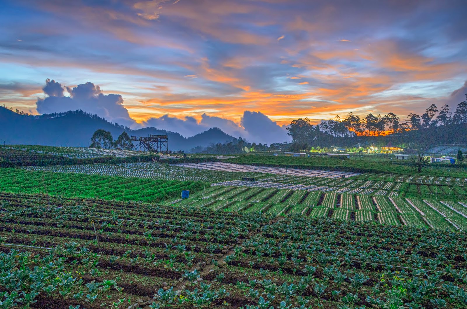 Pendakian Bukit Mongkrang Karanganyar - SEPASANGCARRIER