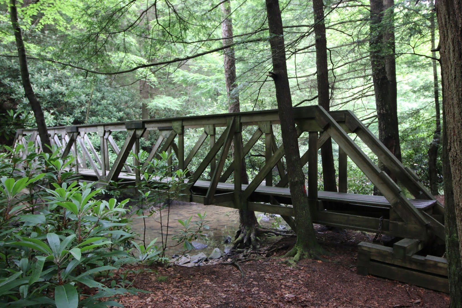 Quebec Run Wilderness Area