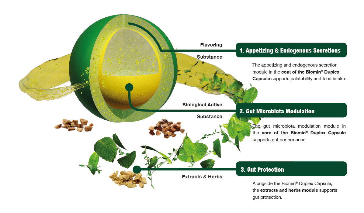The Global Miller: 11/09/2017: How to deliver plant-based compounds for ...