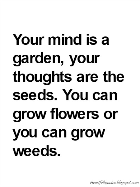 Your mind is a garden, your thoughts are the seeds. | Heartfelt Love ...