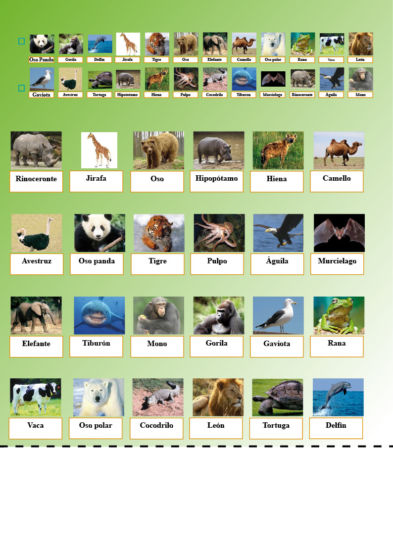 La Estantería de Don Natalio: Quien es quien