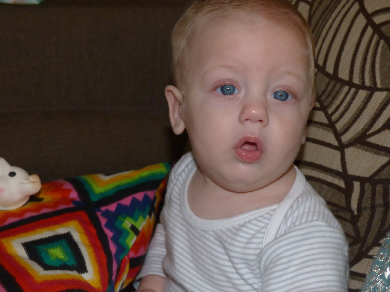 A Quiet Life in Suffolk: Visiting our Grandson