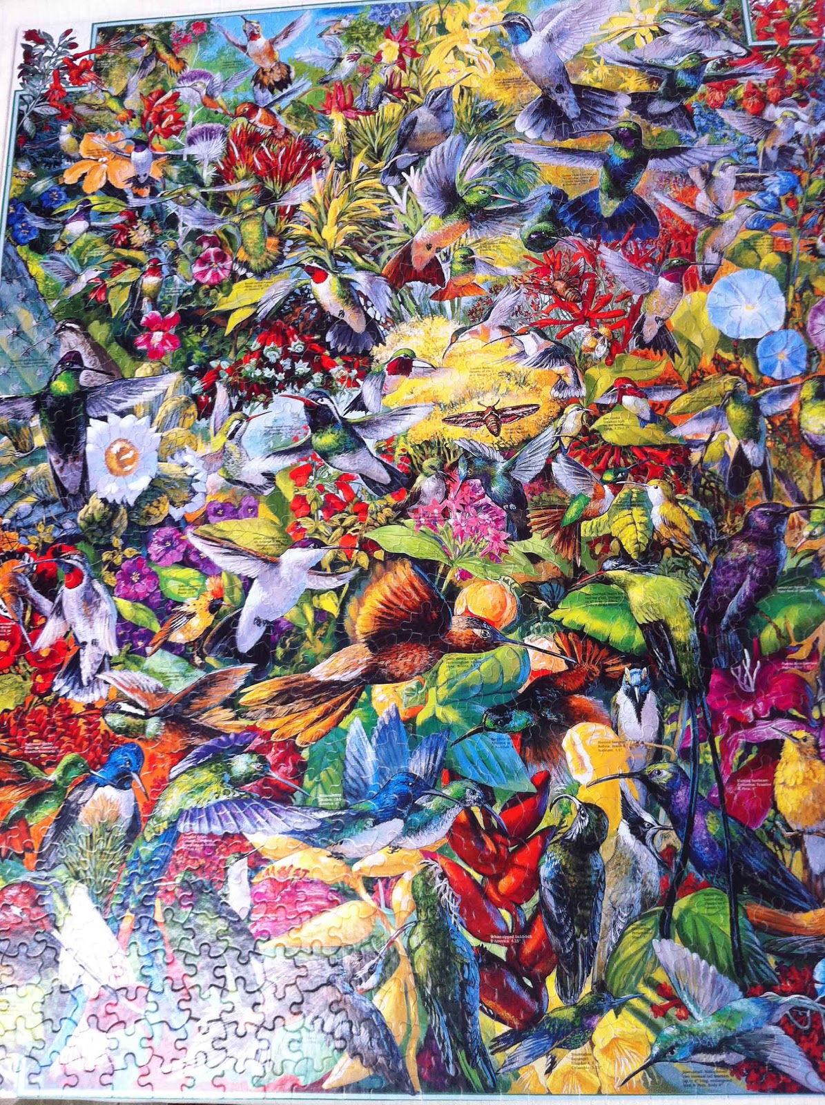 Dorothy & David Case ...Meandering the World: Hummingbird Puzzle