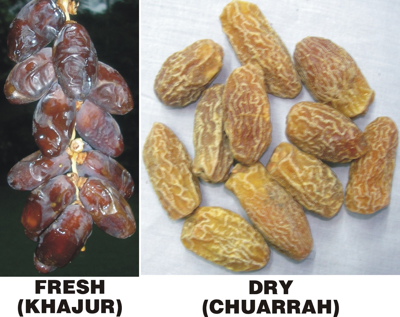 Health Benefits of Khajur