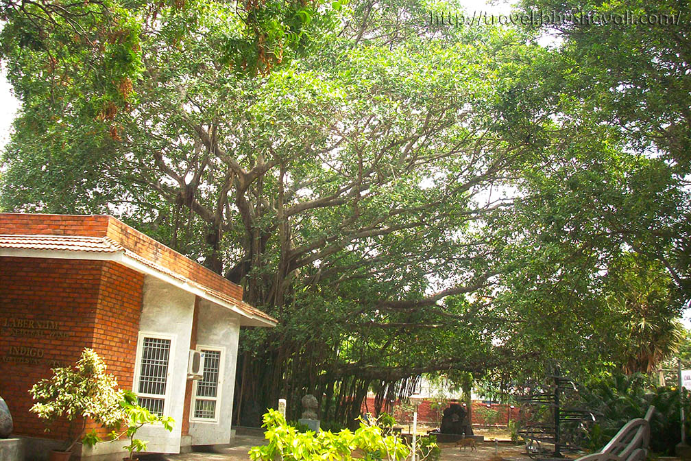 Cholamandal Artists Village, Chennai (Tamil Nadu) | My Travelogue ...