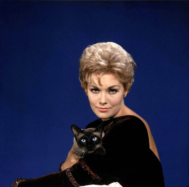 20 Lovely Photos Of Kim Novak With Her Cat Pyewacket In “bell Book