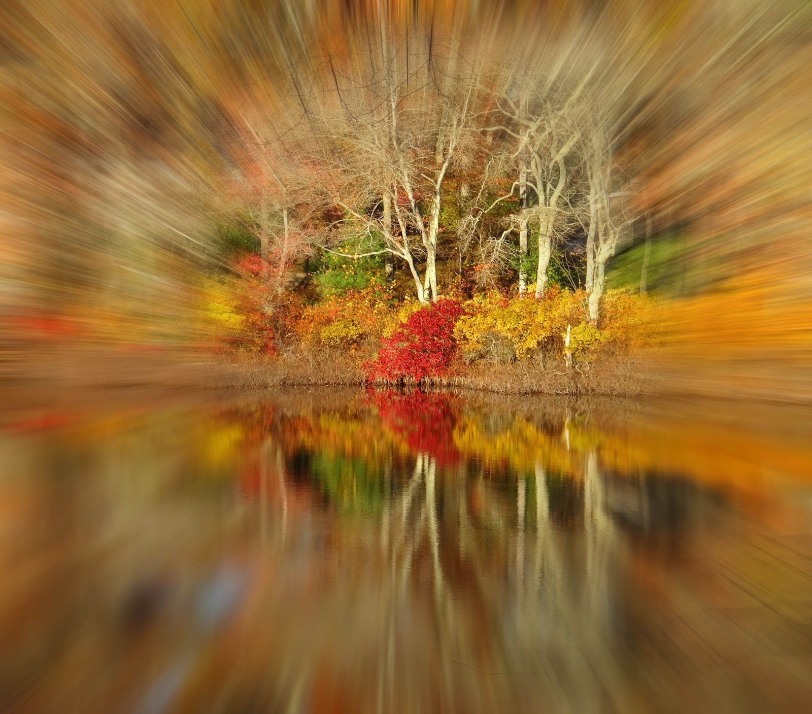 Joe's Retirement Blog: A Manomet Walk, Rabbit Pond, Manomet, Plymouth ...