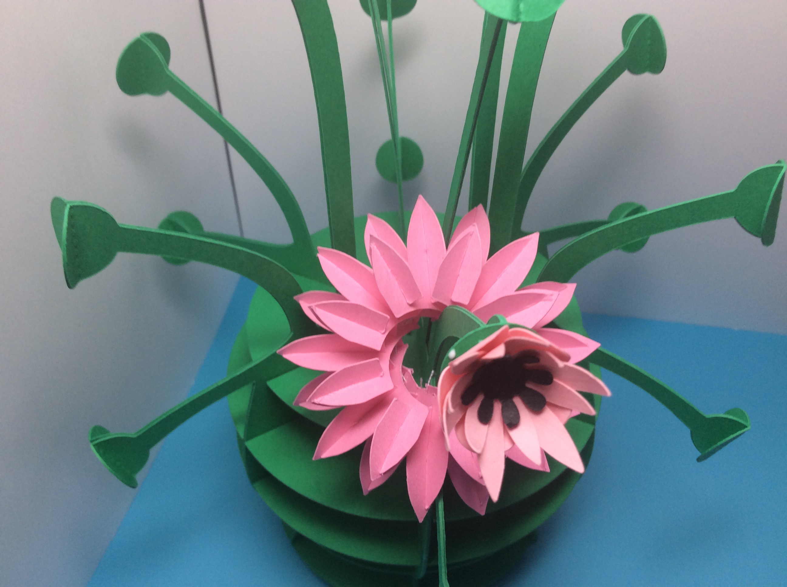 Papercrafts and other fun things: A STEM Project: An Amazing Slice Form ...