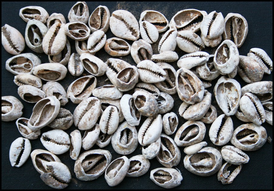 Medicina para el alma: Cauris, la primera moneda de China