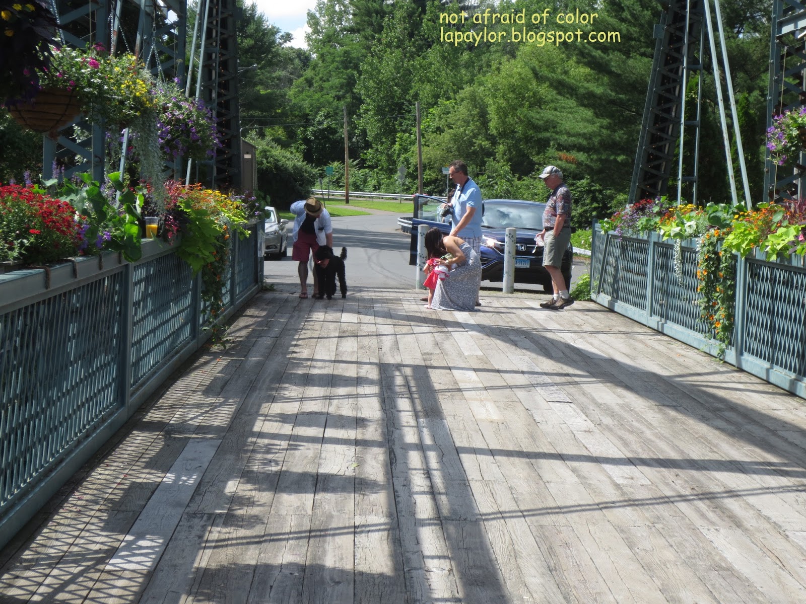 Not Afraid of Color: Bridge of Flowers