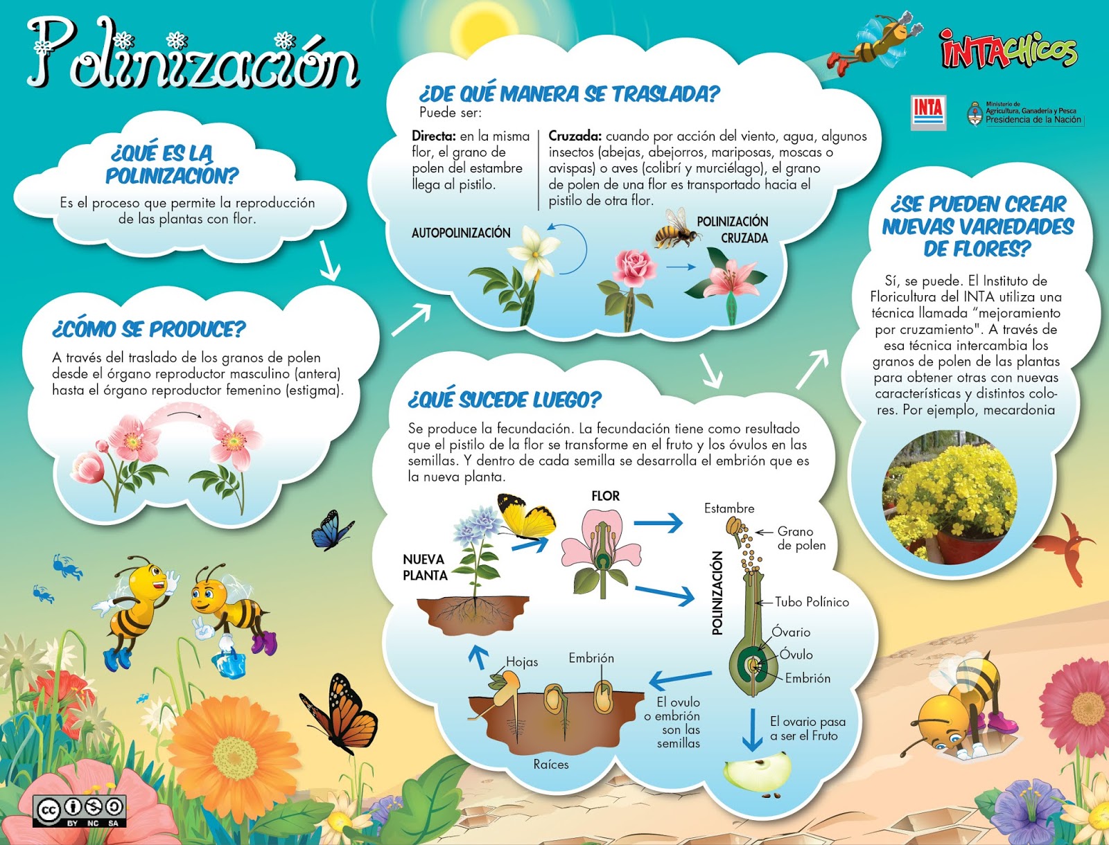 Aprendiendo Con Las Ciencias Agosto 2019