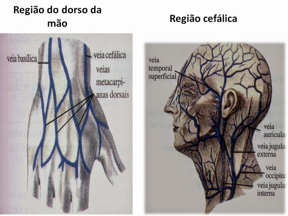 Medicamentos via endovenosa - Enfermagem bio