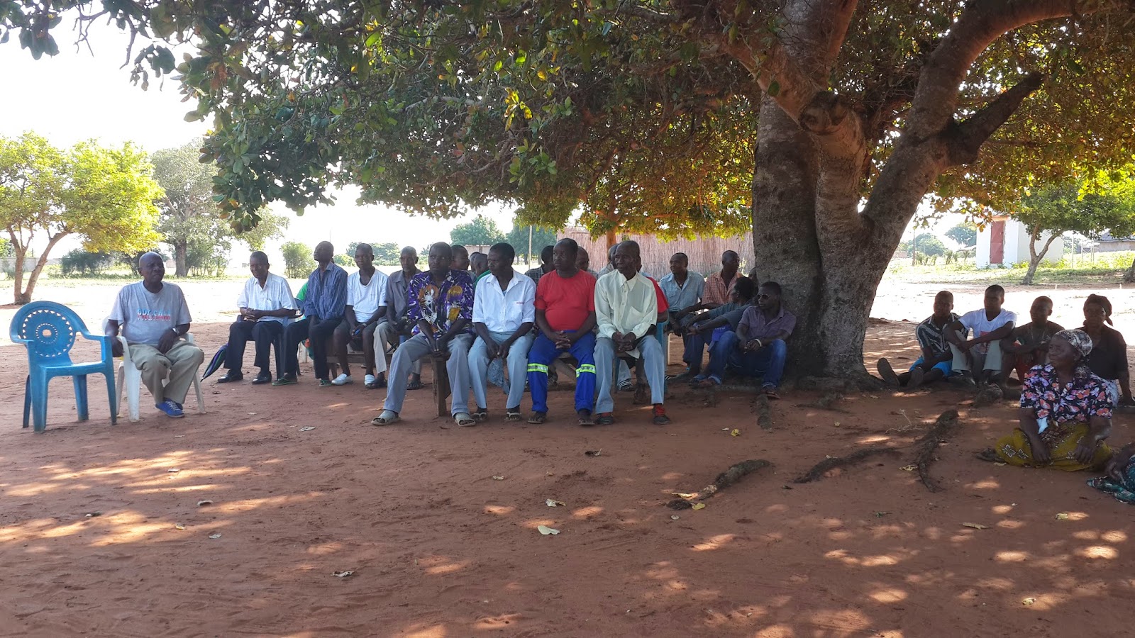 Conselho Municipal da Cidade de Chibuto