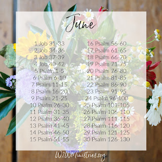 Woman to Woman: One Year Bible Reading Plan