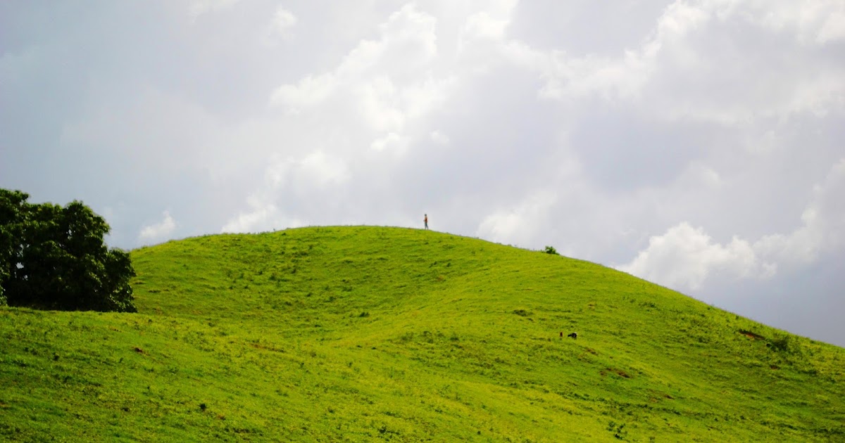 Lomas De Amancaes: Las Lomas de Amancaes