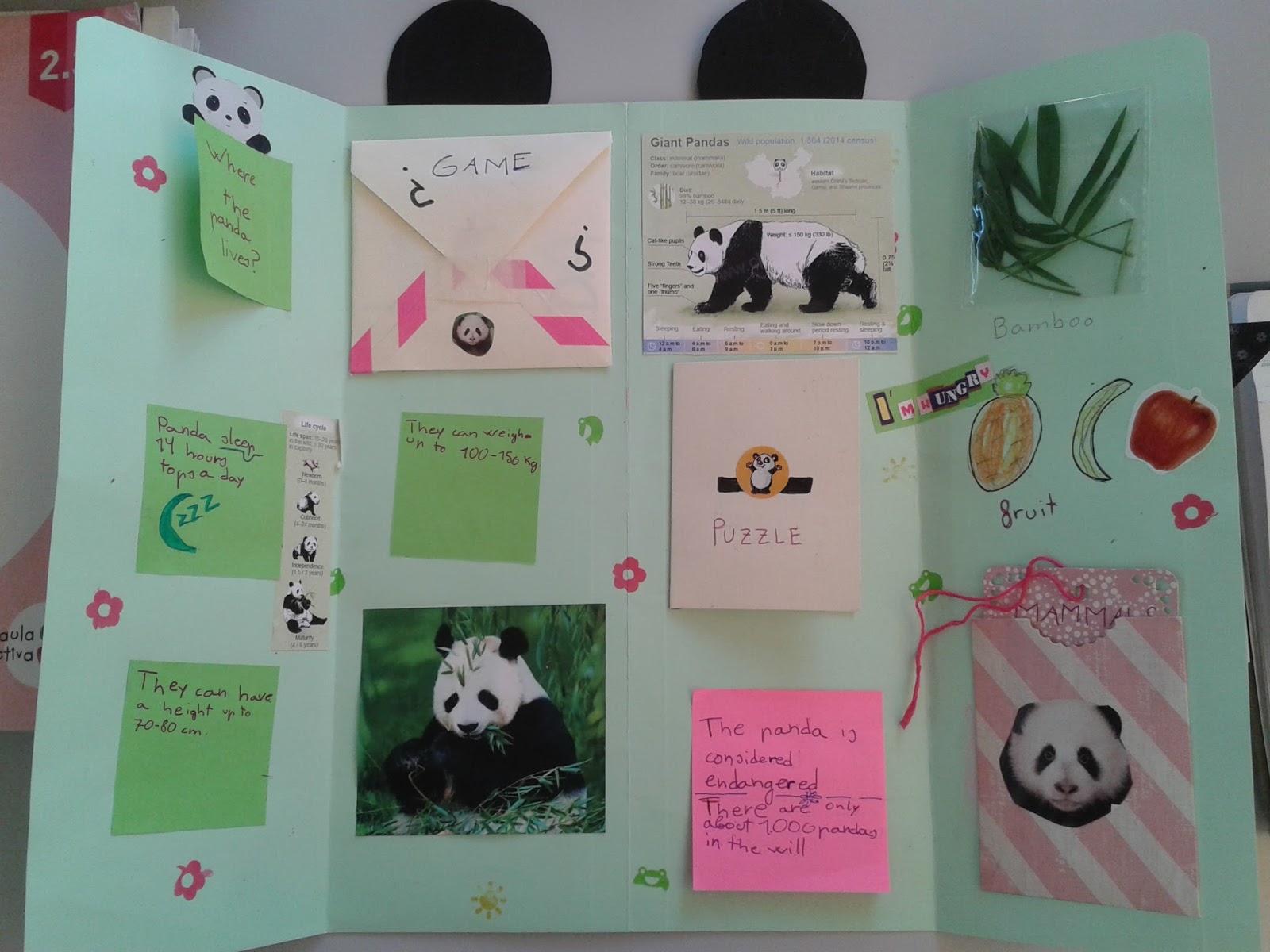 2º B (Eunate): Panda lapbook