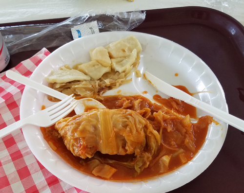 Dan Hanson's Blog: Carpatho-Rusyn Society's 11th Annual Vatra