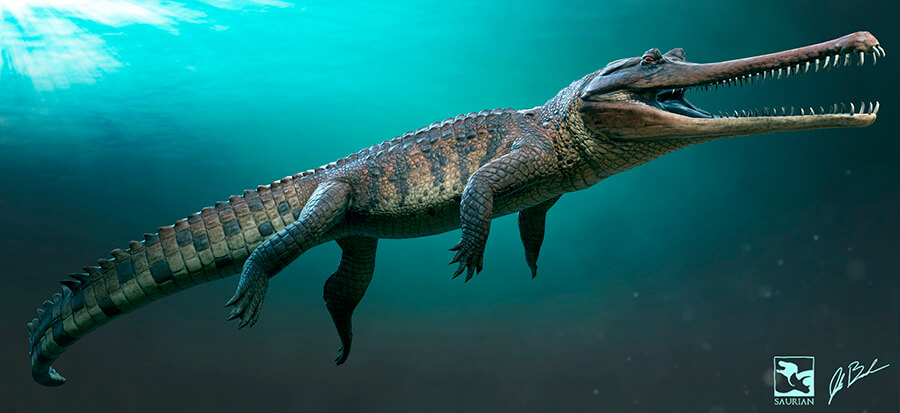 Mundo Pré-Histórico: Extinção do Cretáceo-Paleógeno: a extinção dos ...