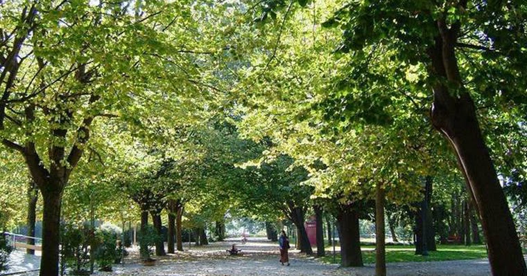 BITÁCORA DE JOAN: EL PARQUE