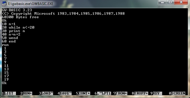 Computer soft: GW Basic