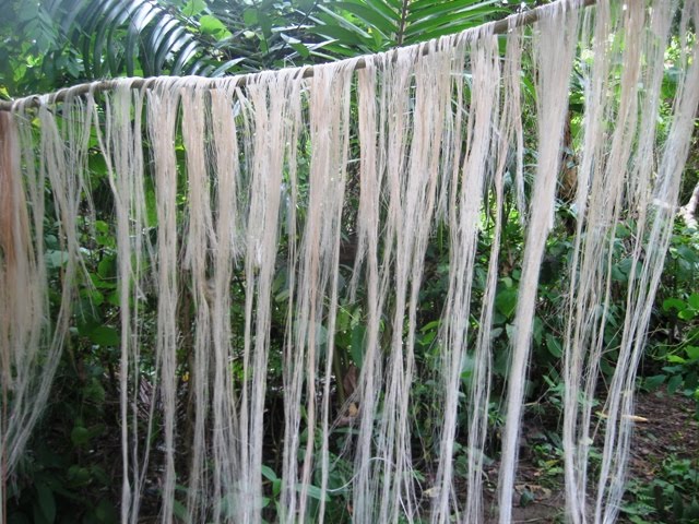 Marinduque Rising: Resurrecting Abaca in Tugos