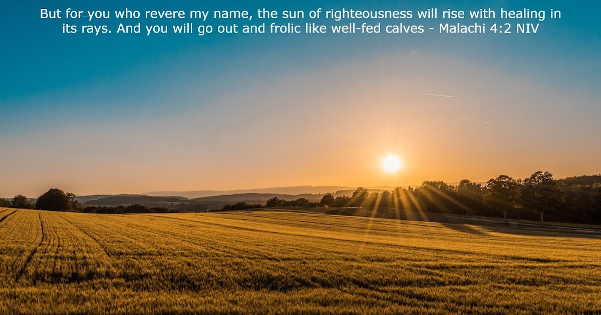 Verse of the day in English - Malachi 4:2 NIV - Verseofthedaybible.com