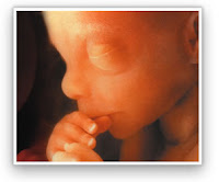 Anthem of My Heart: How It All Began