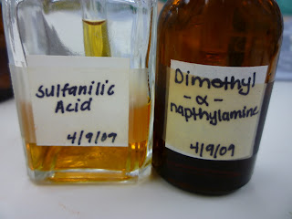 Medical Microbiology: November 8-10