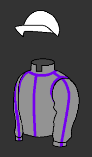 The Colours Of Horse Racing: Coolmore Classic