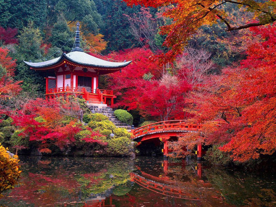 NIHIL SINE DEO!: Daigo-ji Temple in Autumn - Kyoto, Japan