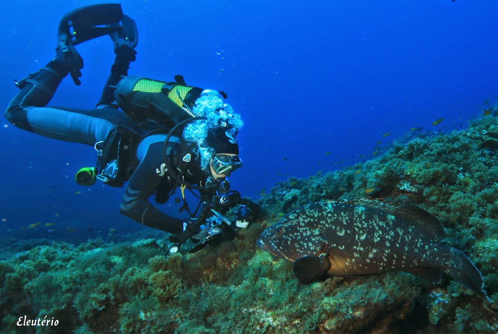 Reserva Natural dos Ilhéus das Formigas