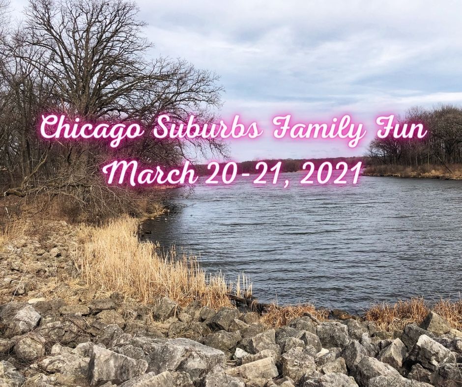 A Little Time and a Keyboard: Weekend Windup: Chicago Suburban Family ...
