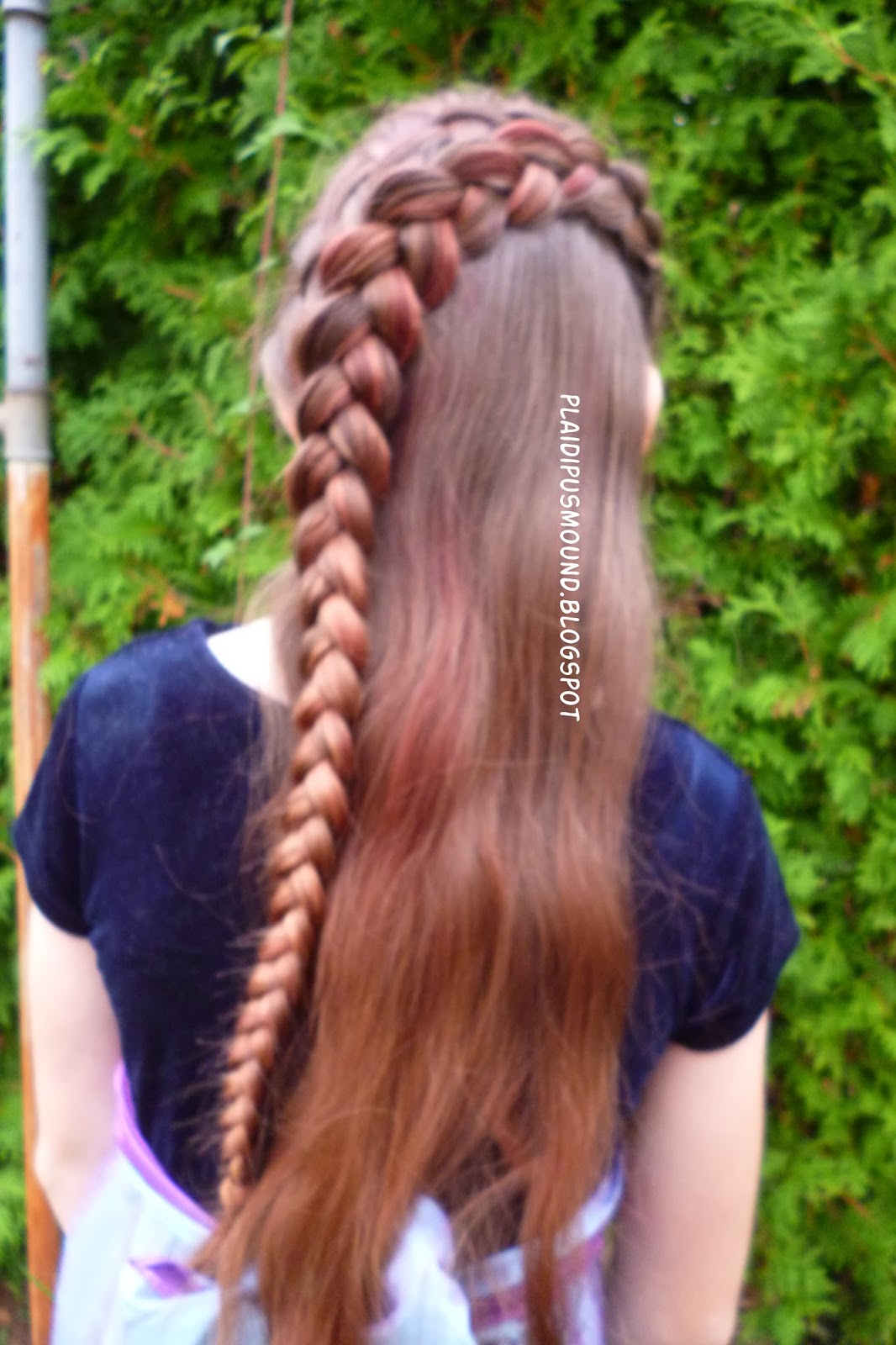 Plaidipus mound: sturdy ladder braid