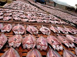 Capiz Best Delicacies: Capiz Delicacies (The Uga or Dried Fish)