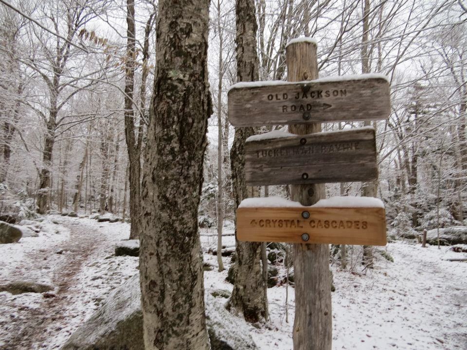 Outdoor Diversion: Winter Preview on the Tuckerman Ravine Trail