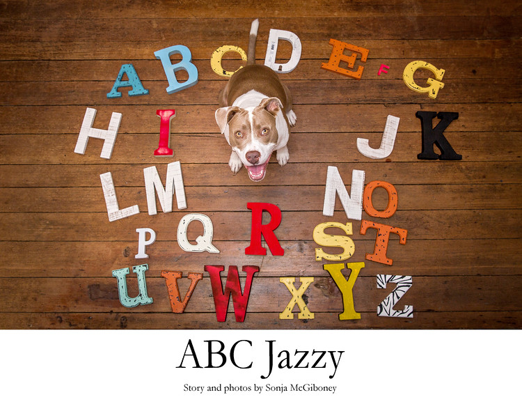 Dog Evals: Book Review: ABC Jazzy (dog, the alphabet - for kids)