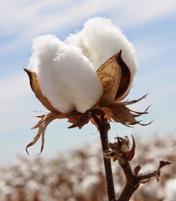 Southron Creations: How To Choose A Civil War Fabric