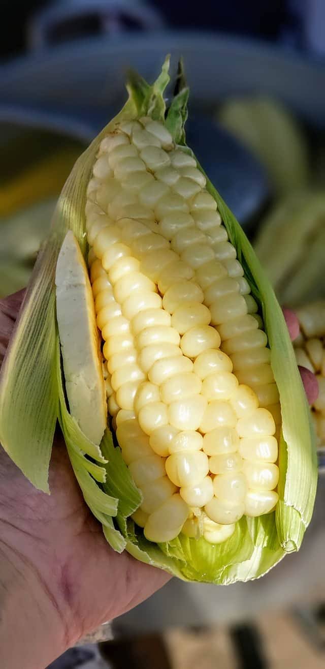 Contacto con lo Divino: Pastel de Choclo Peruano