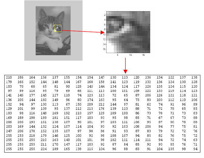 Koneksi Artikel: Pengertian Citra Digital